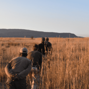 Anti-Poaching Training | Volunteer with anti-poaching organisations