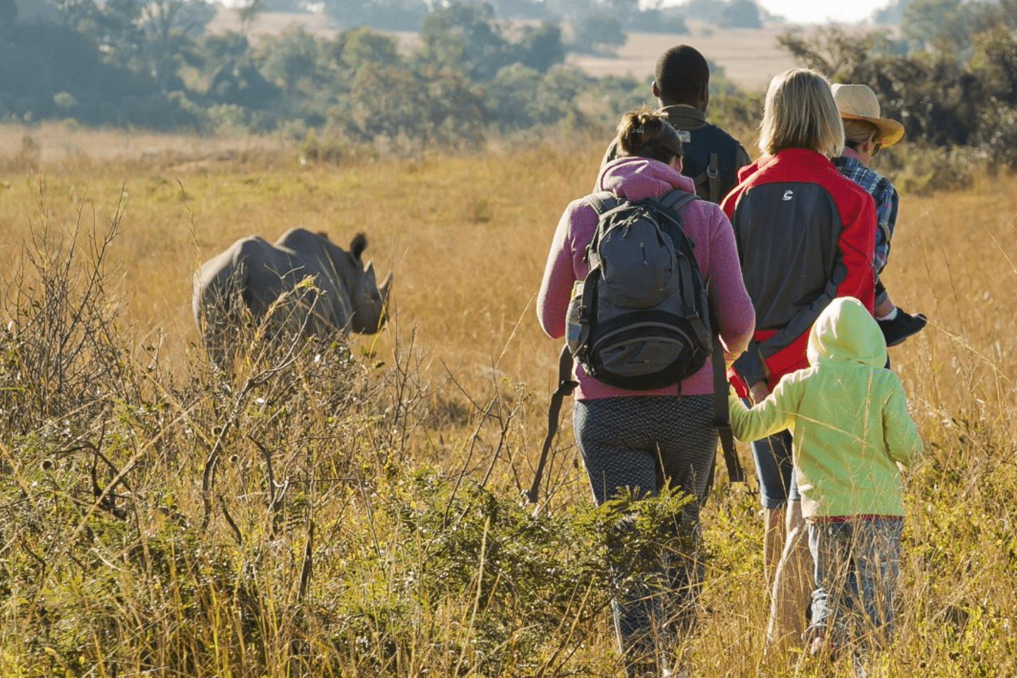 Horse Riding Volunteer Programme | Conservation Travel Africa