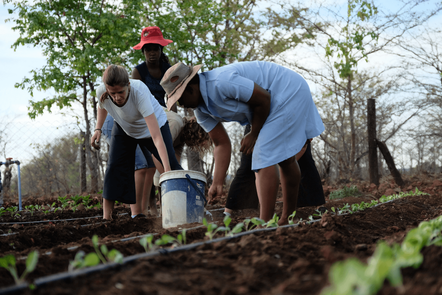 Elephant Conservation Project | Volunteer work with elephants