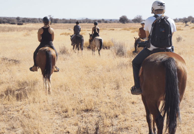 Horse Riding Volunteer Programme | Conservation Travel Africa