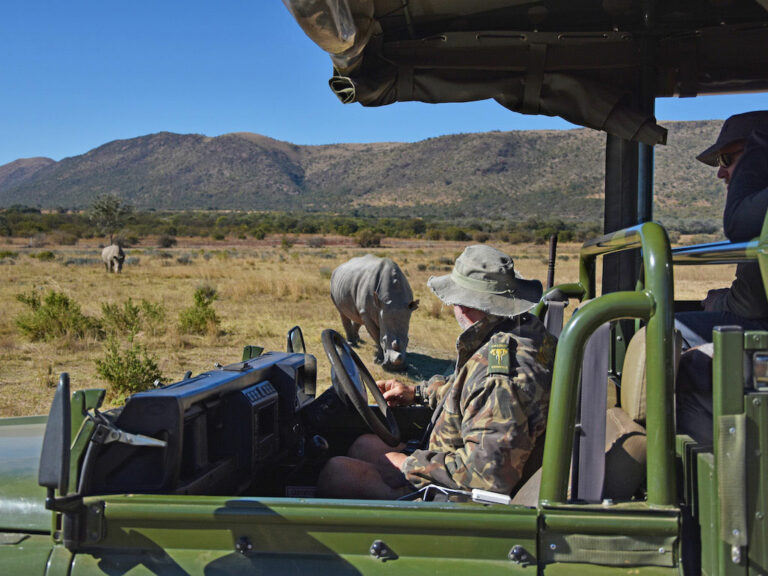 Anti-Poaching Training | Volunteer with anti-poaching organisations