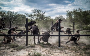 Intensive Anti-Poaching Training Course | Volunteer ranger training
